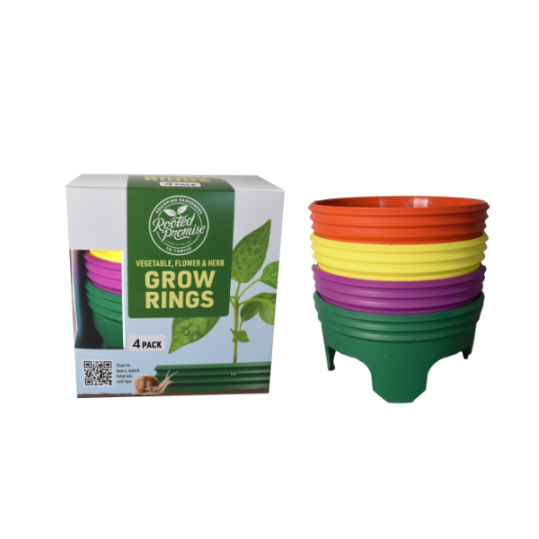 Shop - Rooted Promise Multicolor Grow Rings